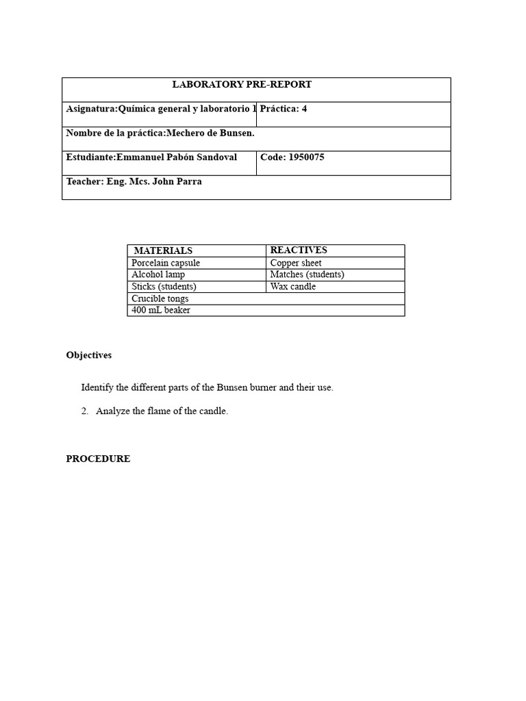 Bunsen Burner Lab Report Overview | PDF | Combustion | Chemistry