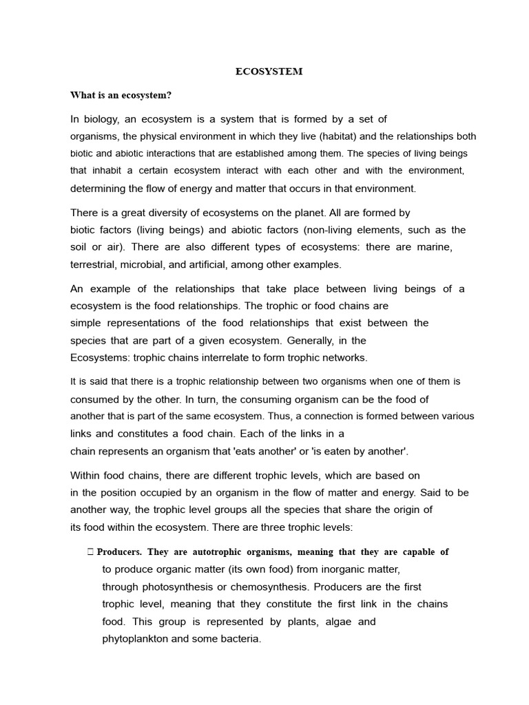 Reading Comprehension 2 | PDF | Ecosystem | Food Web