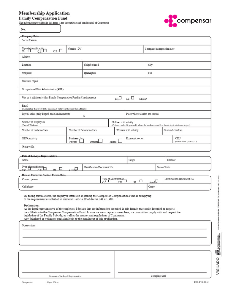 Compensation Form | PDF | Salary | Employment