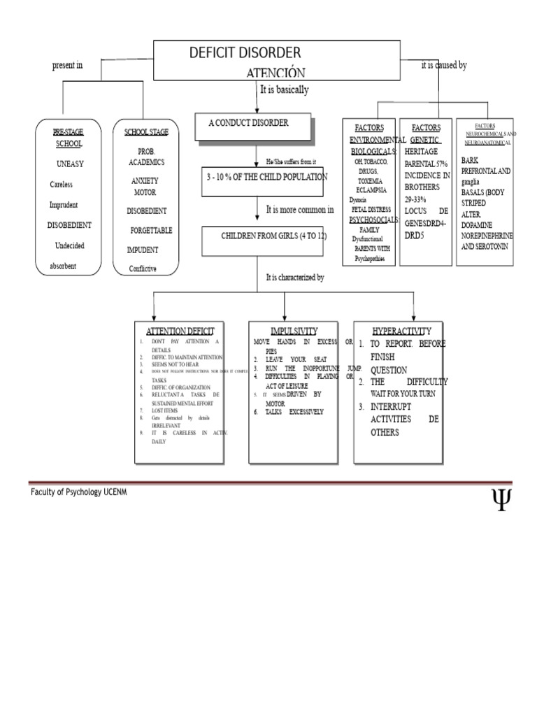 Conceptual Map ADHD | PDF | Attention Deficit Hyperactivity Disorder ...