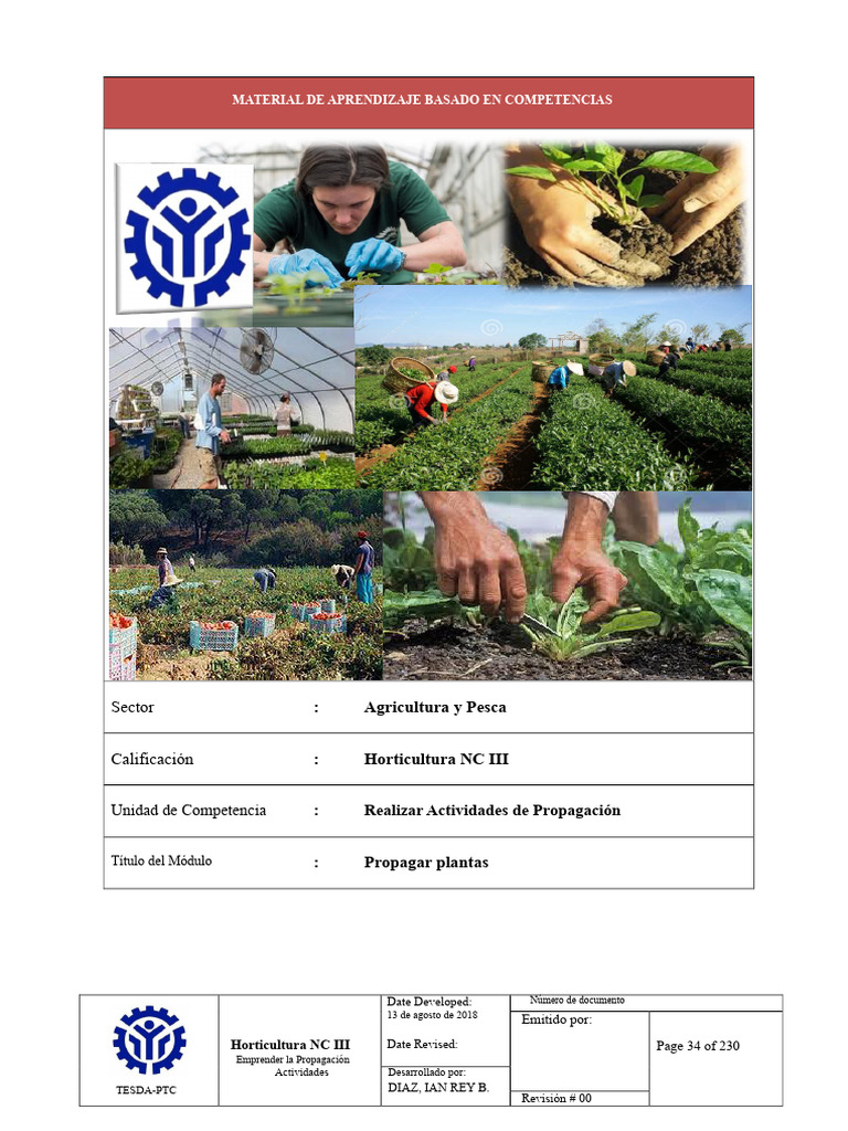 001 CBLM CORE Final (Guardado Automáticamente) | PDF | Semilla | Limón