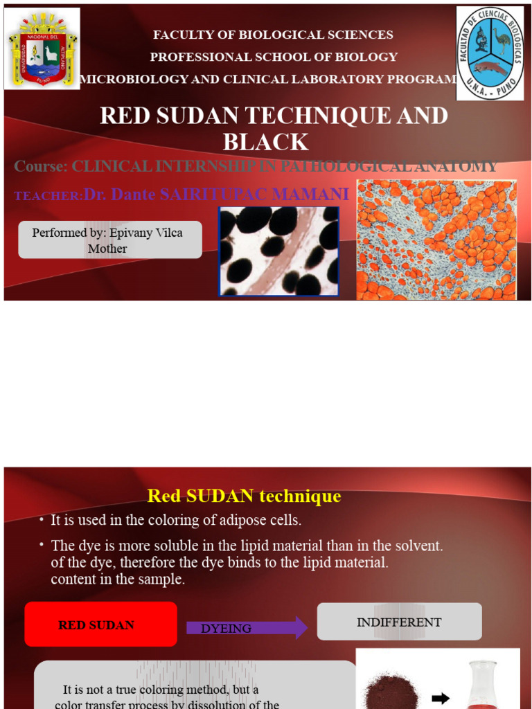 Red Sudan and Black Sudan Techniques | PDF | Staining | Dye