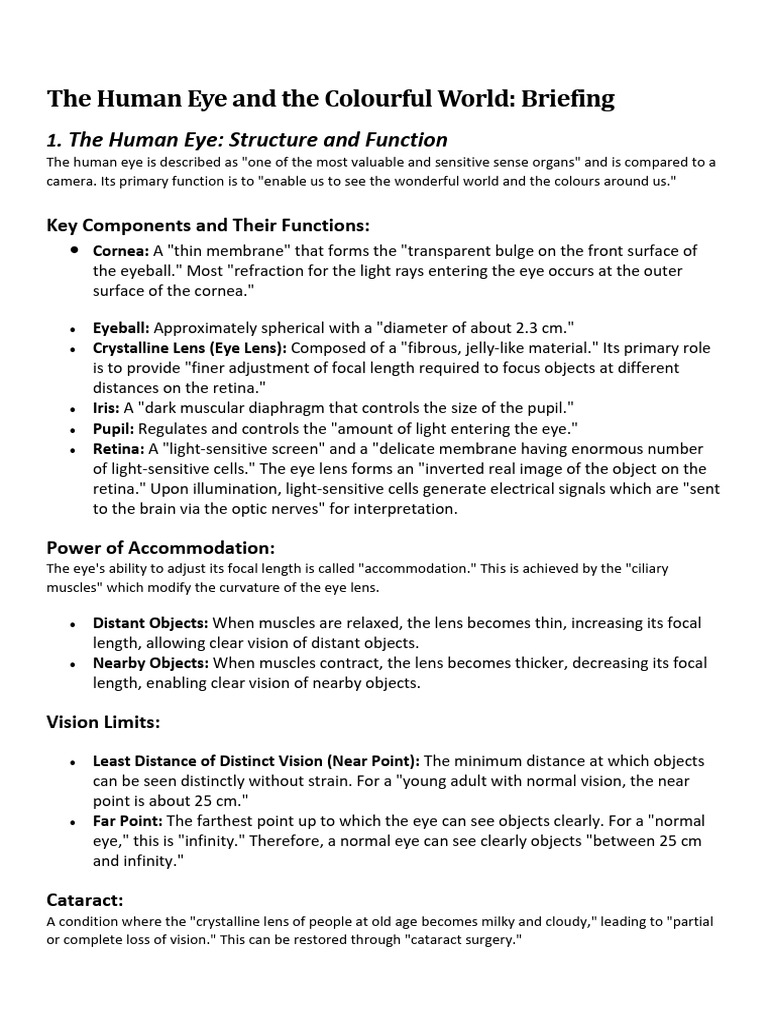 Human Eye: Structure, Function, and Vision | PDF | Eye | Human Eye