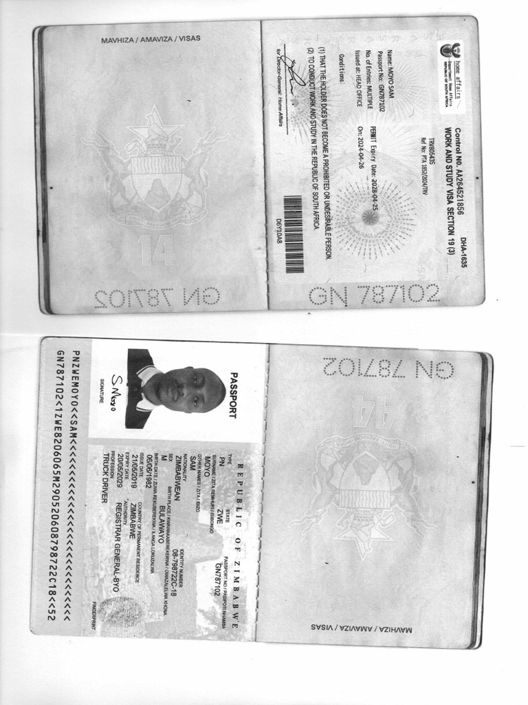 Sam Moyo Passport | PDF