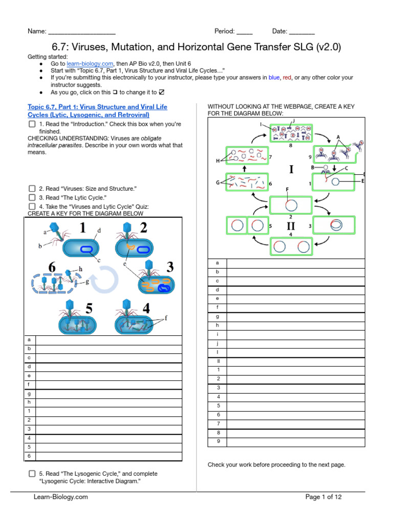 6.7 - Viruses, Mutation, and Horizontal Gene Transfer SLG (AP Bio V2.0 ...