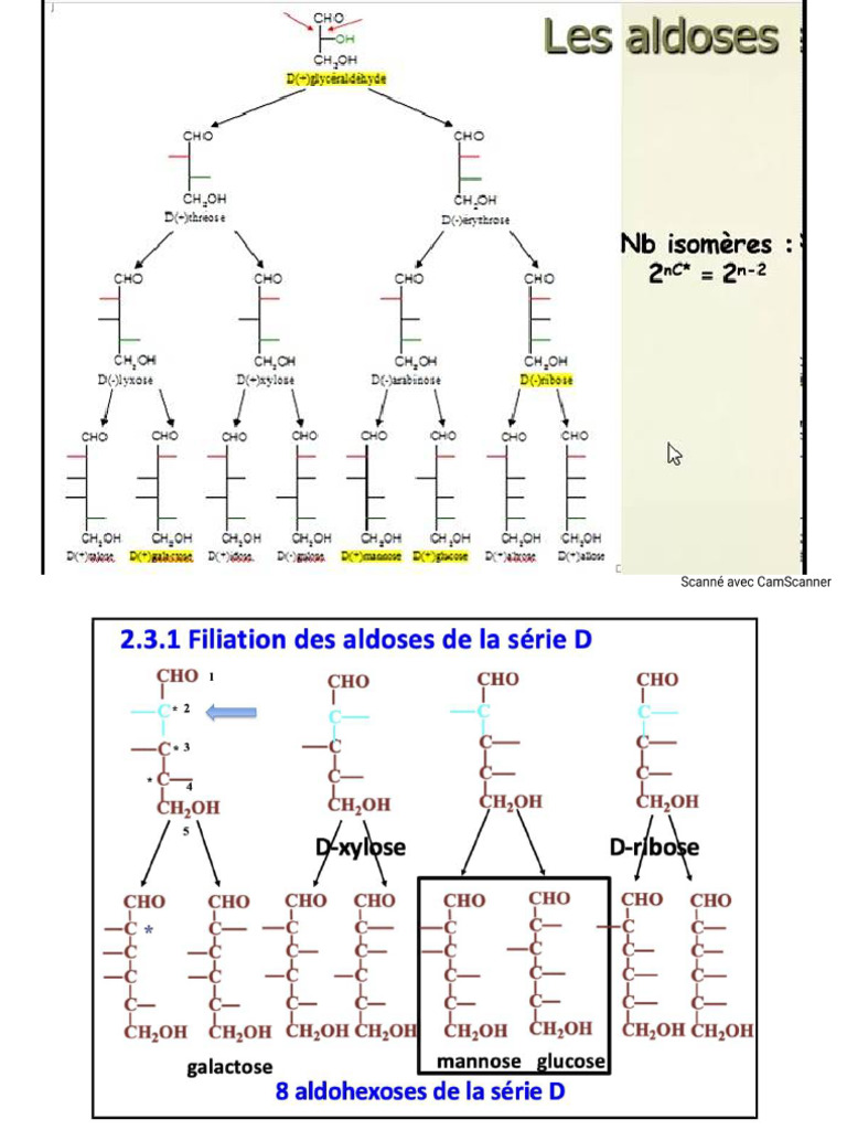 Biochimie | PDF