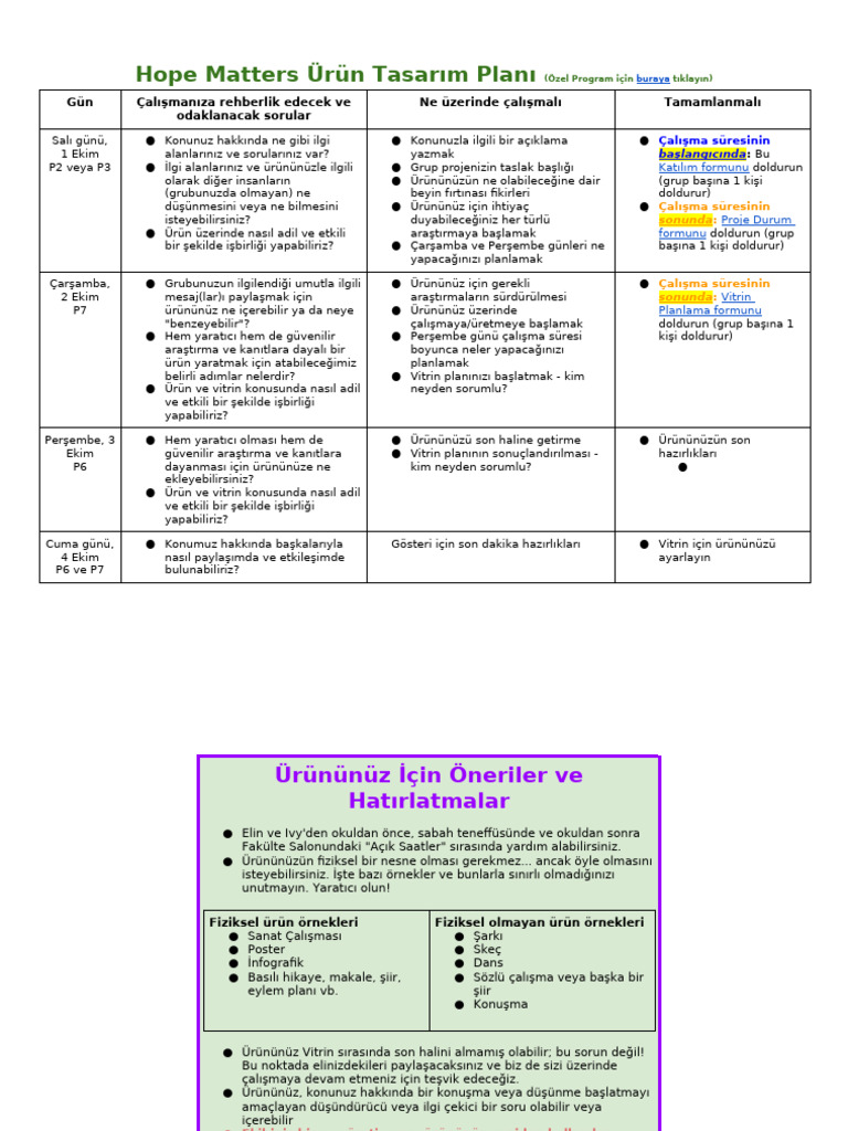 Hope Matters Product Design Plan (TURKISH) | PDF