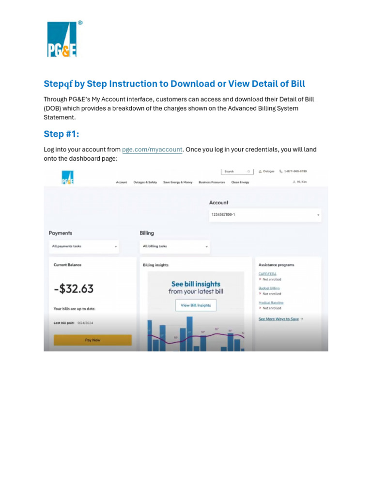 Instruction Download or View Detail of Bill Copy 4 | PDF