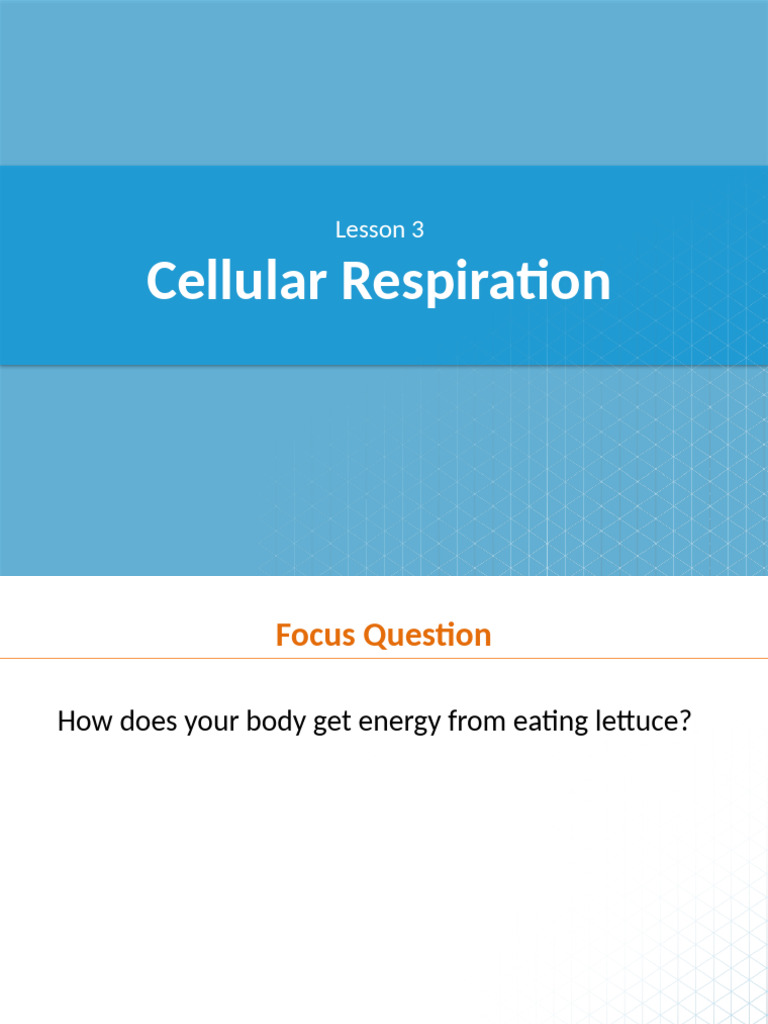 Lesson 3 Cellular Respiration | PDF | Cellular Respiration | Diet ...
