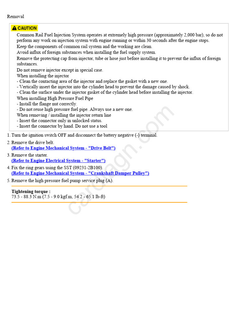 Engine Control Fuel System Fuel Delivery System High Pressure Fuel Pump ...