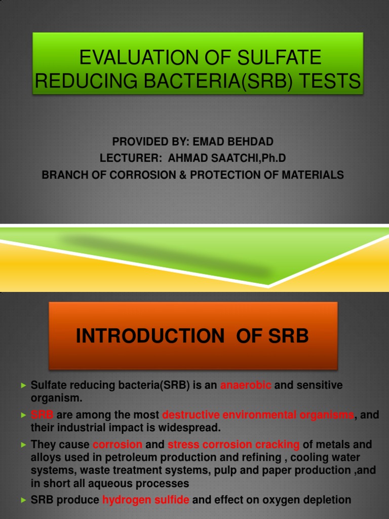 SRB & TCB Tests Evaluation | PDF | Corrosion | Chemical Substances