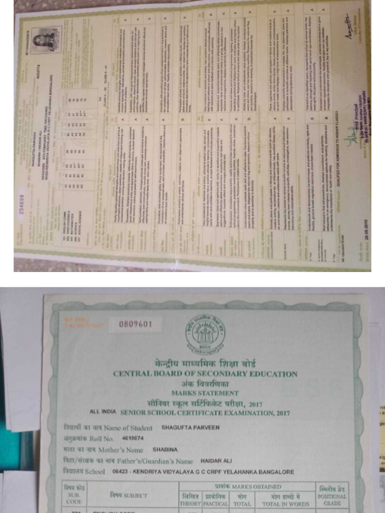 10th and 12th Marks Card | PDF