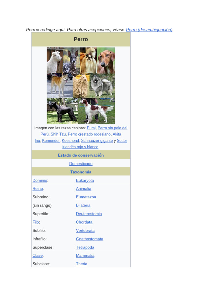 Historia de Los Perros | PDF | Perros | Cereales