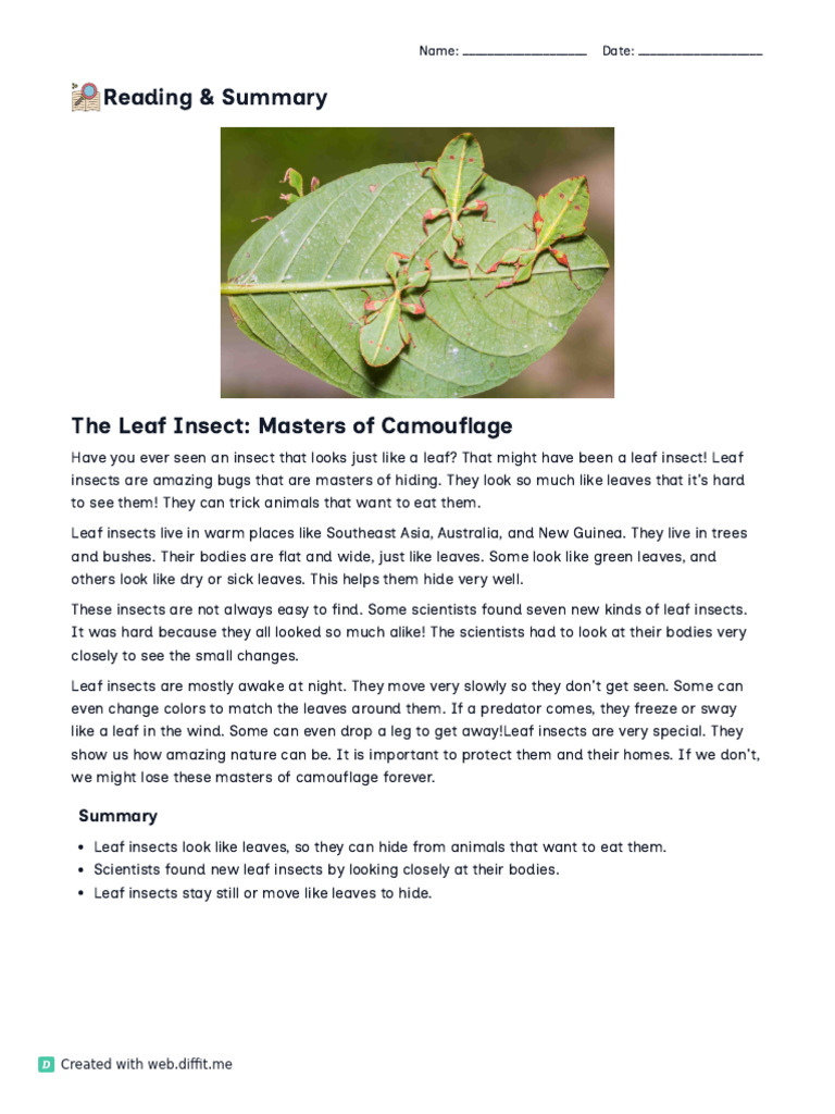 Leaf Insect Camouflage | PDF | Camouflage | Insects