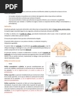 Reflejo Cremastérico: Definición y Ausencia | PDF