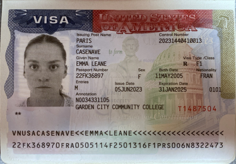 Copy of Visa | PDF