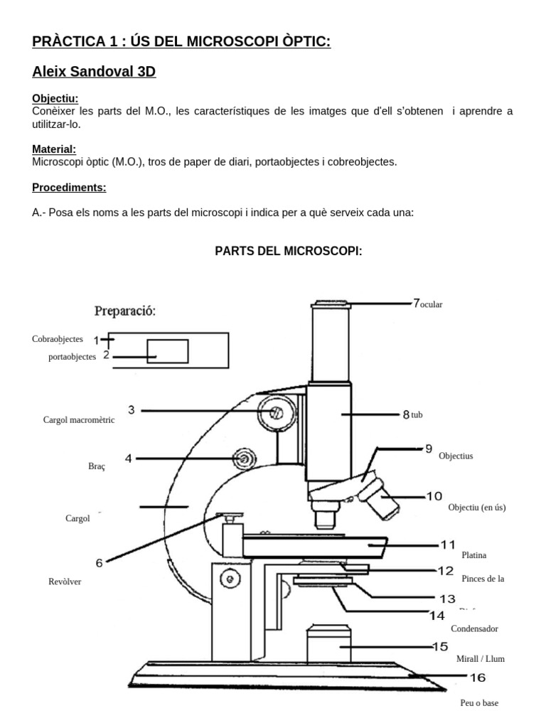 Exercici 01 Practica1 | PDF