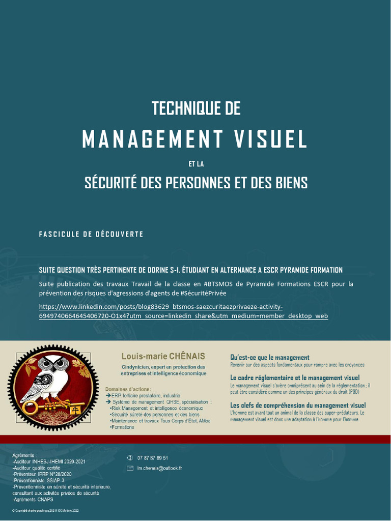 Management Visuel et Sécurité Essentielle | PDF | Sécurité | Publicité