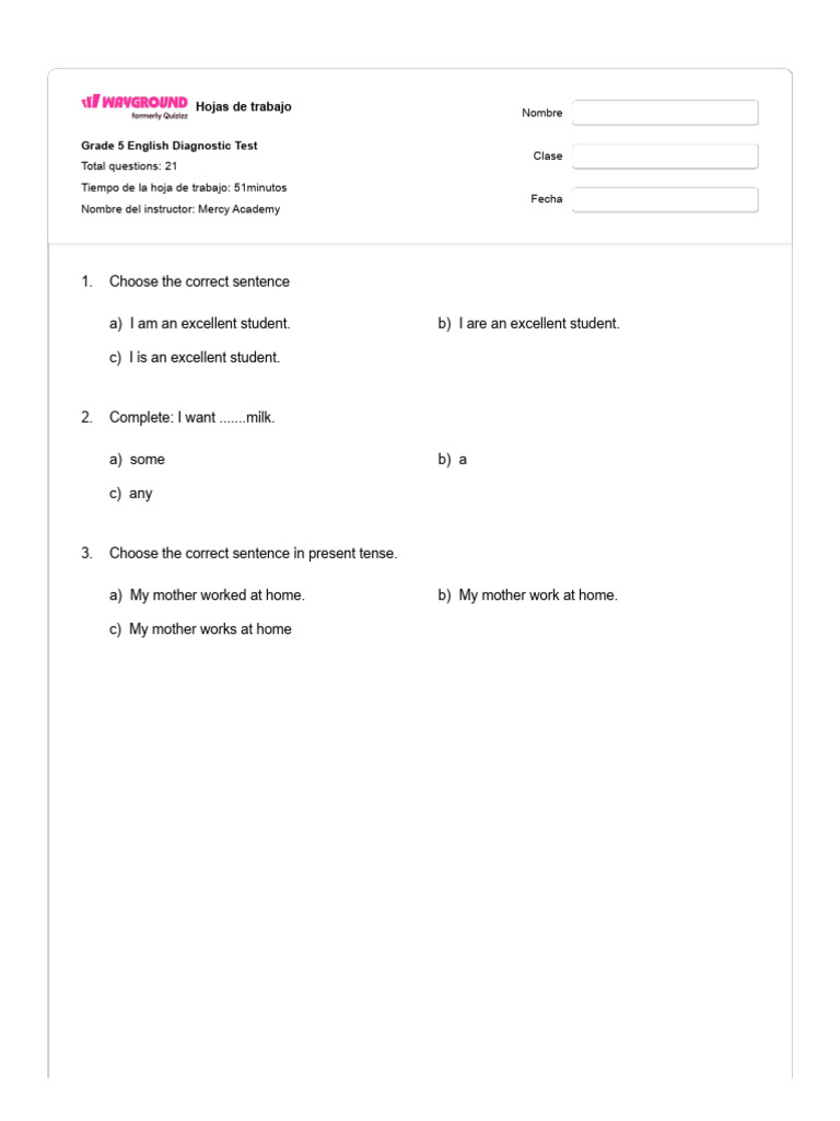 Grade 5 English Diagnostic Test | PDF