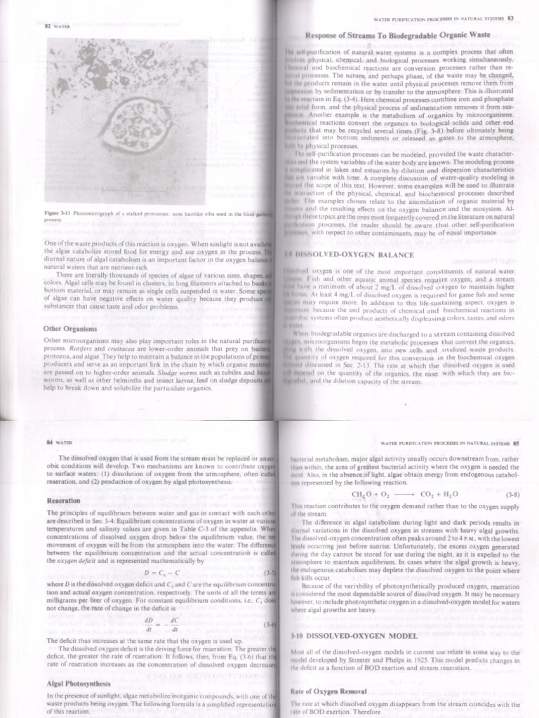 Dissolved Oxygen Model | PDF