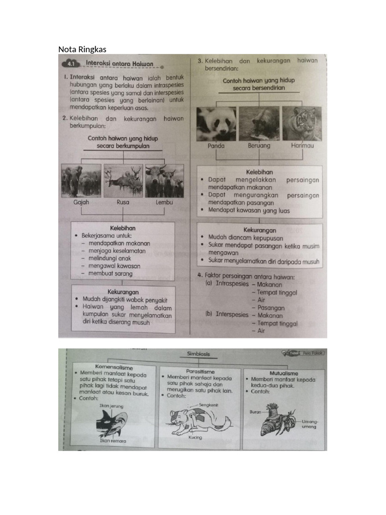 Arahan Projek Sains Tahun 6 | PDF
