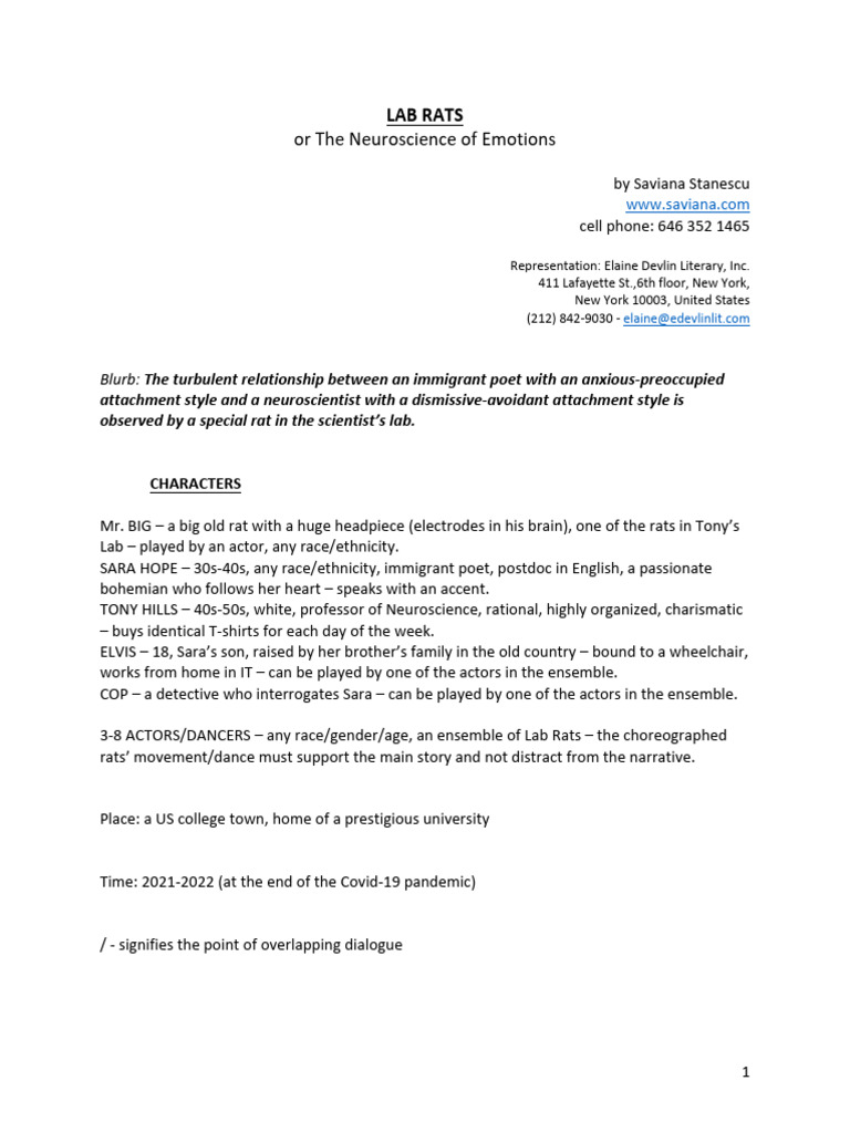 LAB RATS 2025 | PDF | Burglary | Memory