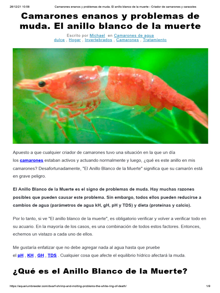 Problemas de muda en camarones enanos | PDF | Calcio | Agua