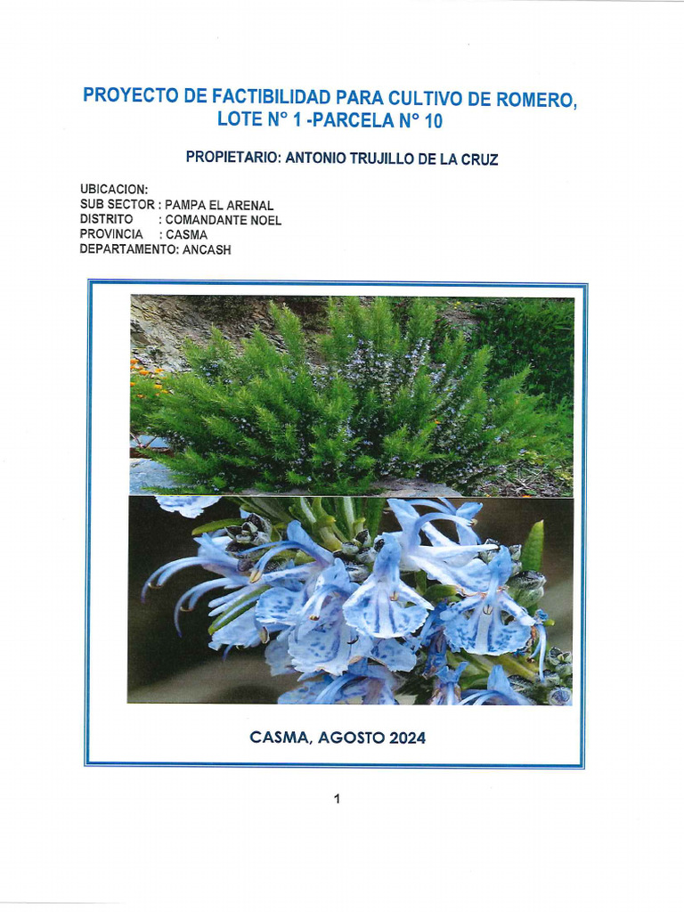 Proyecto Cultivo de Romero- Antonio Trujillo- Casma-07!08!2024 | PDF