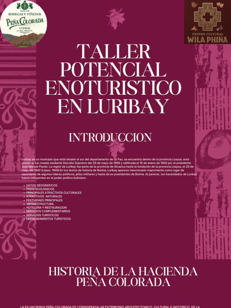 TALLER BODEGA PEÑA COLORADA-LURIBAY (1) | PDF | Vino | Uva
