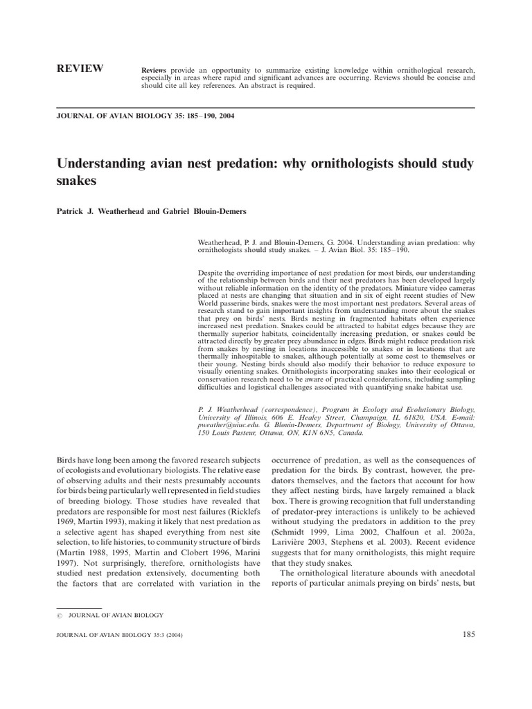 Serpentes Predacao Ninhos Aves WEATHERHEAD | PDF | Birds | Predation