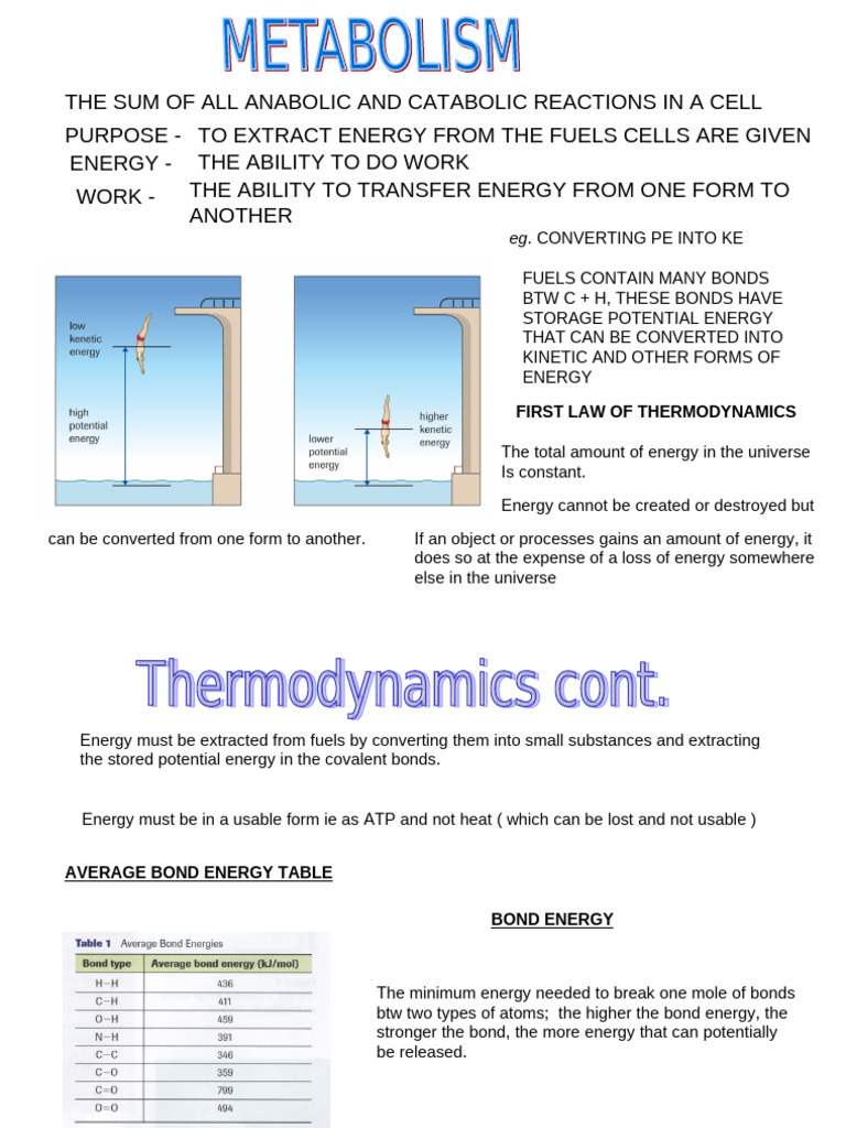 Lesson 3 Metabolism and Enzymes | PDF | Adenosine Triphosphate | Enzyme