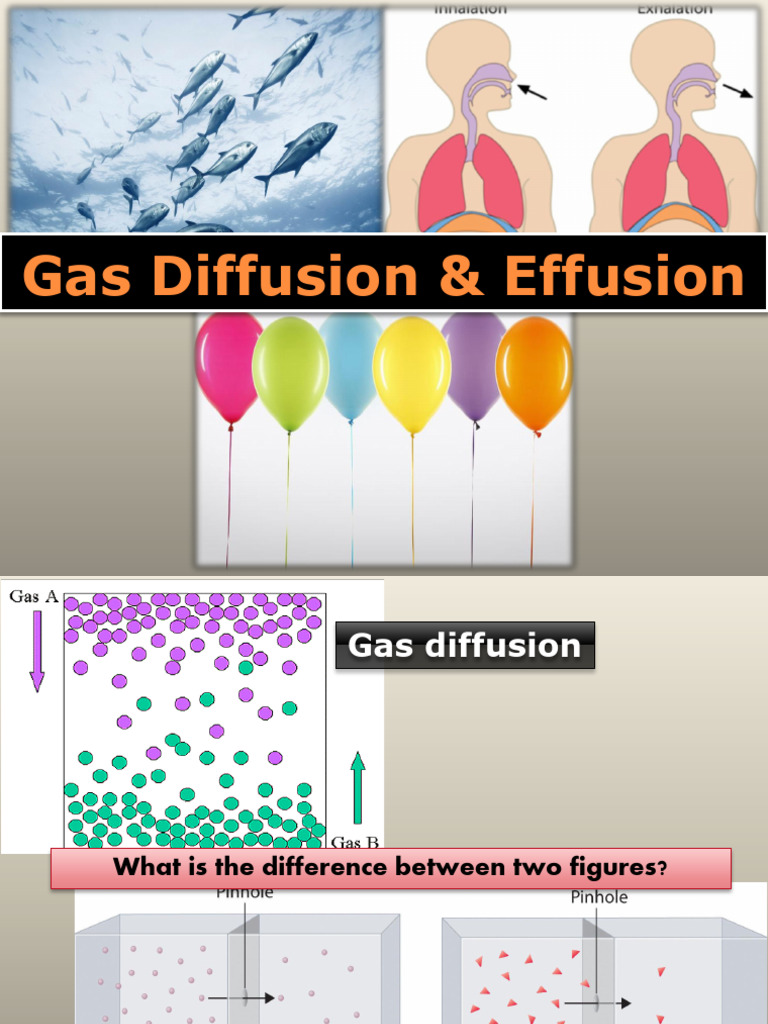 03-Gas Diffusion and Effusion | PDF | Diffusion | Gases