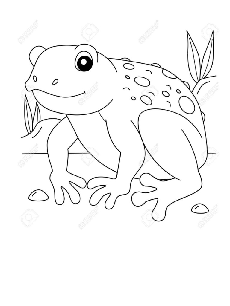 Ran Aaaaaa | PDF