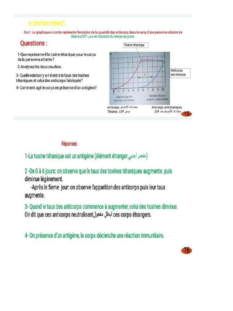 SVT | PDF