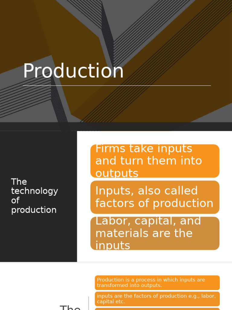 Micro Final Presentation | PDF | Production Function | Economies