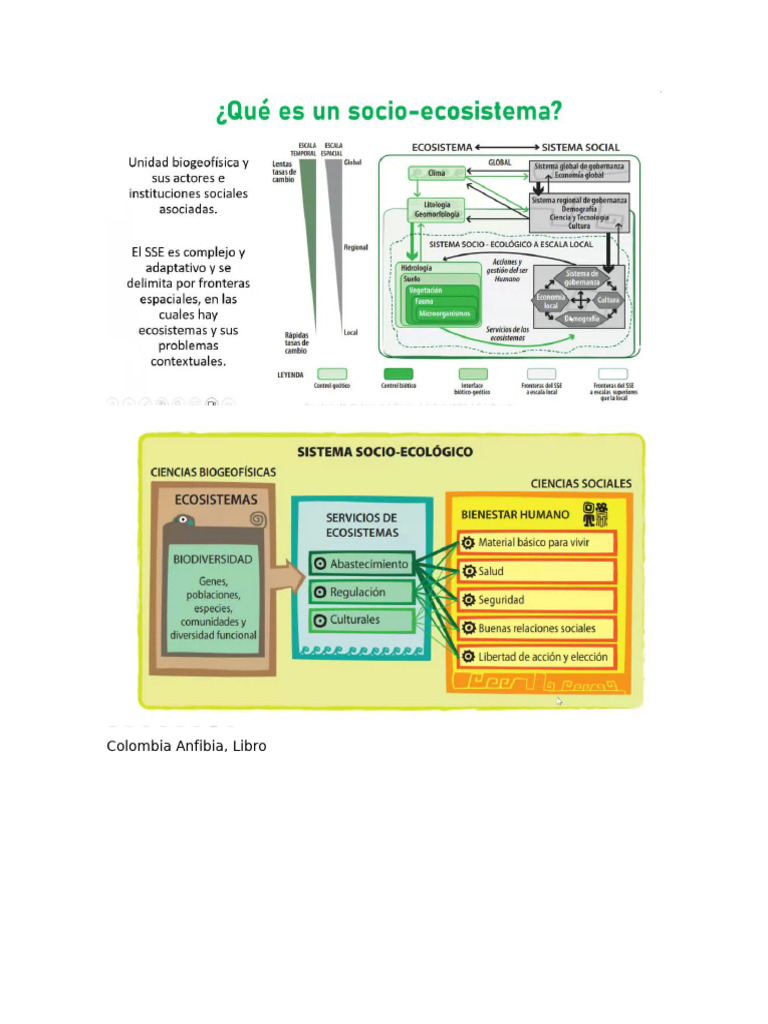 Colombia Anfibia Mojana | PDF