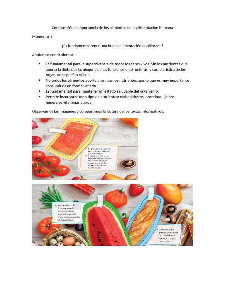 Composición e Importancia de Los Alimentos en La Alimentación Humana | PDF