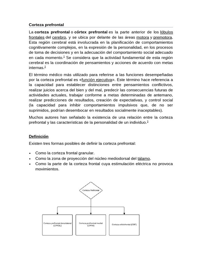 Corteza Prefrontal | PDF | Corteza prefrontal | Cerebro