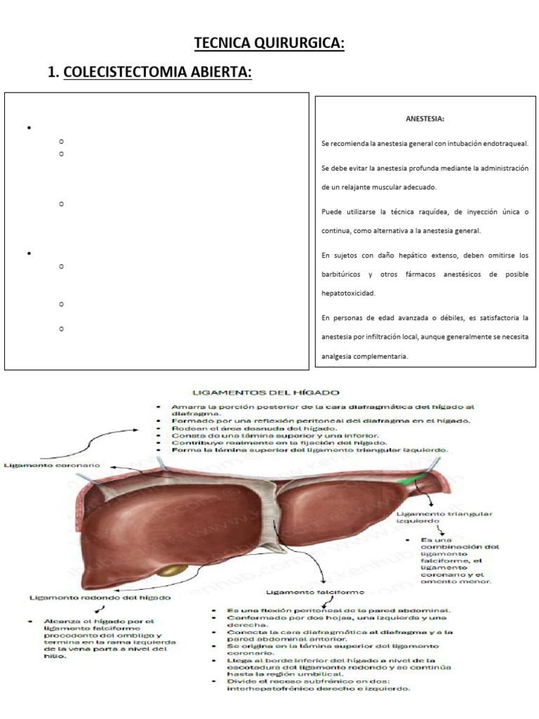 Tecnica Quirurgica Colecistectomia Retrograda Y Laparoscopica Pdf
