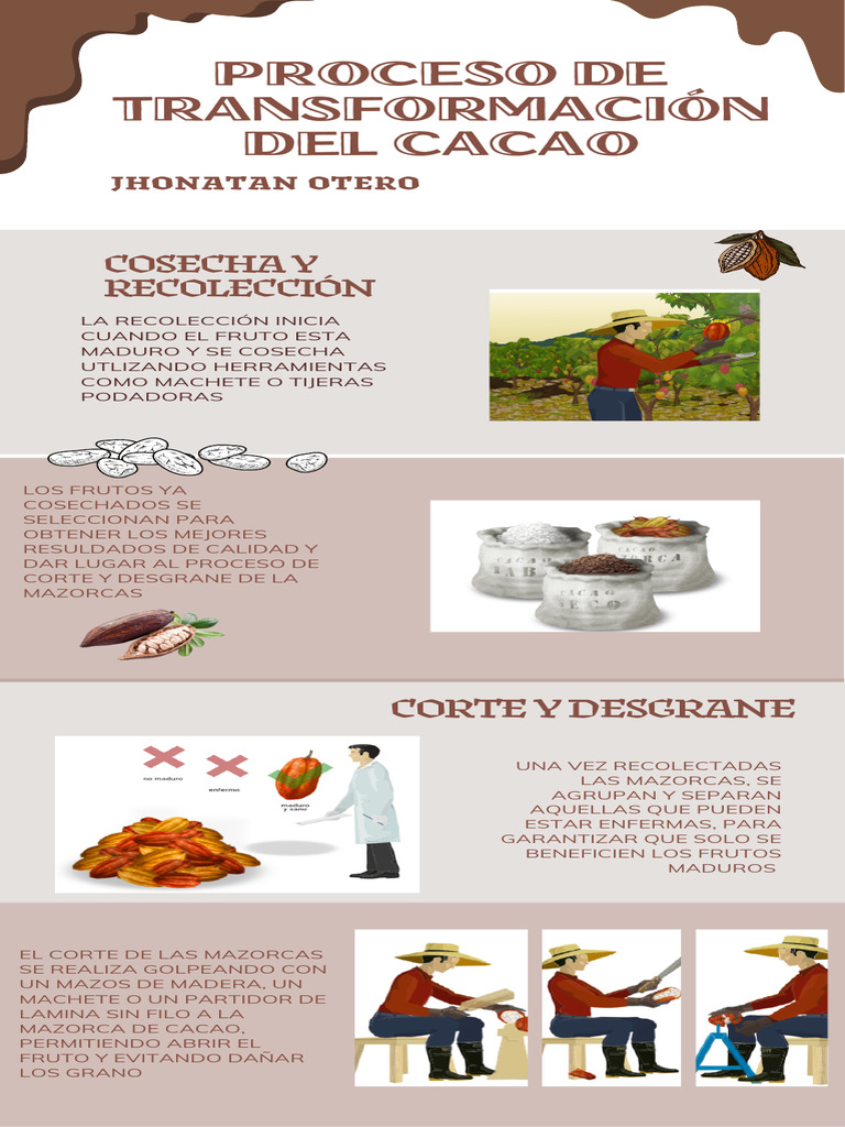 Proceso de Transformacion Del Cacao | PDF | Chocolate | Cocina ...