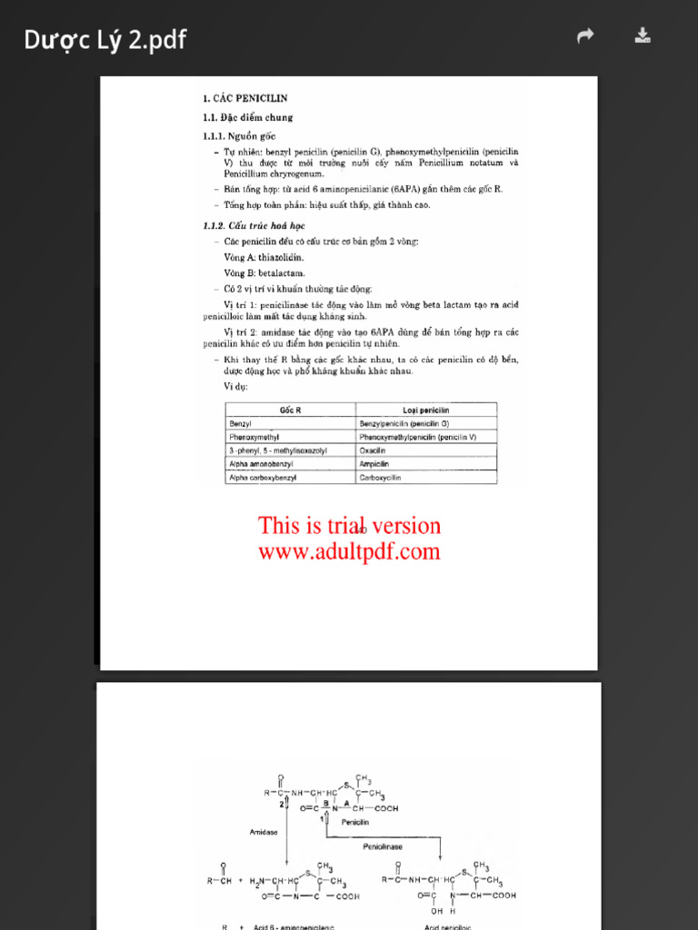 Dược Lý 2.pdf DocDroid | PDF
