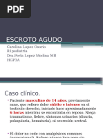 Anatomía del Escroto y Testículos | PDF | Testículo | Especialidades ...