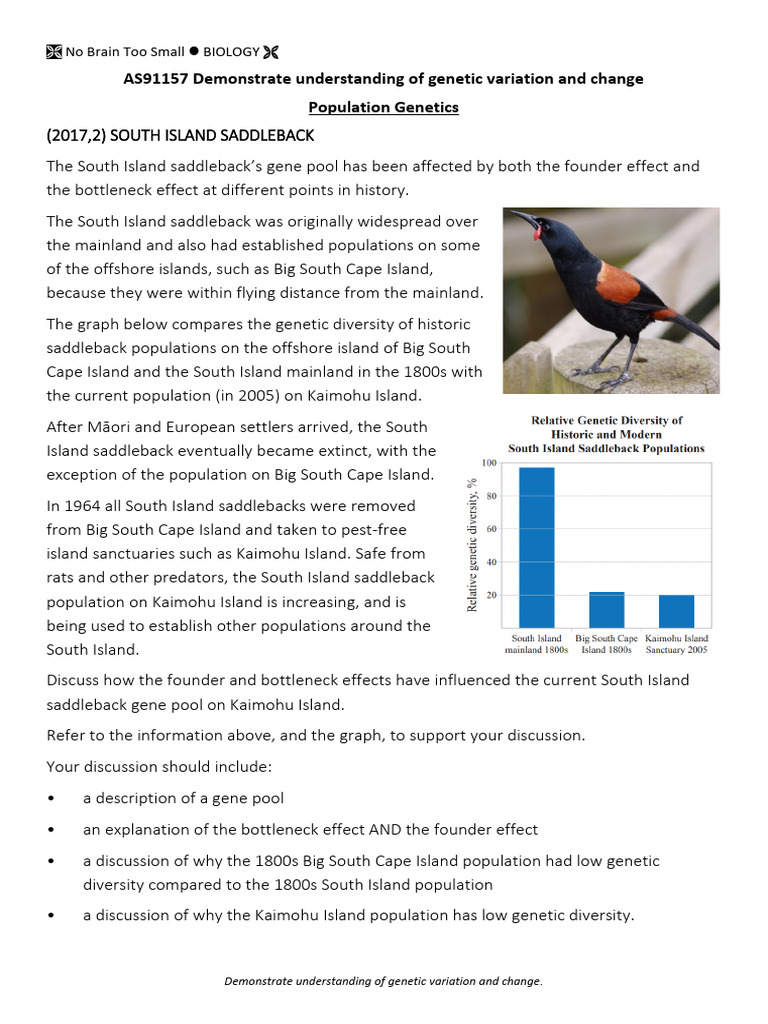 Bio2 91157 Collated Pop Genetics | PDF | Genetic Diversity ...