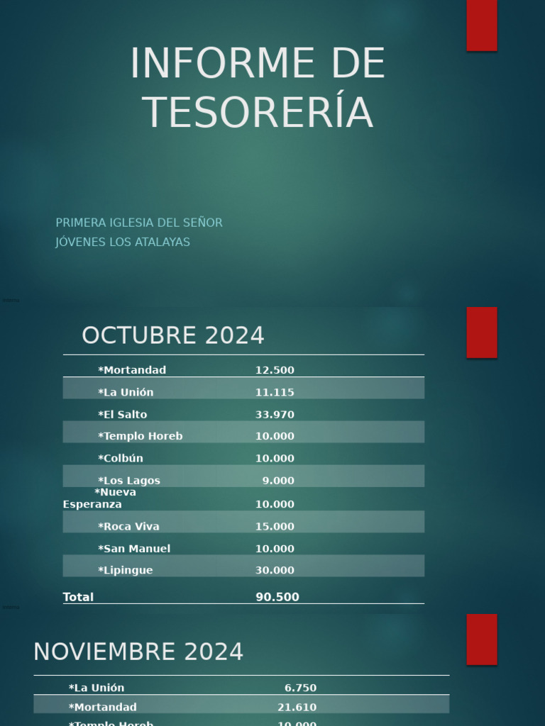 Informe Tesoreria 2025 | PDF