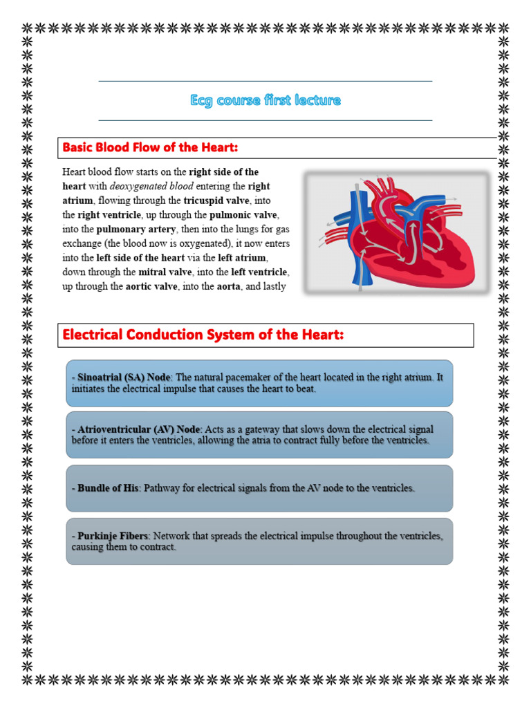 Ecg 1 | PDF | Electrocardiography | Heart