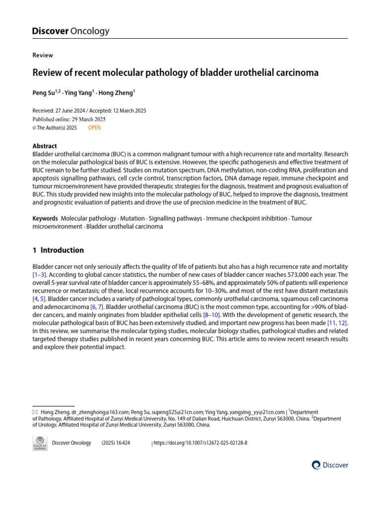s12672-025-02128-8 | PDF | Cell Cycle | Dna Repair