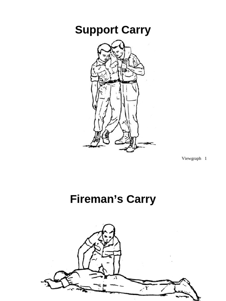 Essential Carry Techniques Guide | PDF