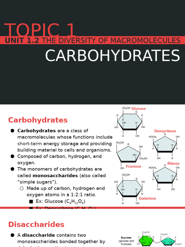 Macromolecules 25-26 | PDF | Nucleotides | Carbohydrates