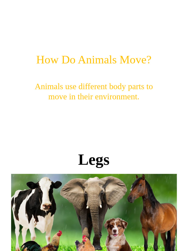 How Do Animals Move | PDF
