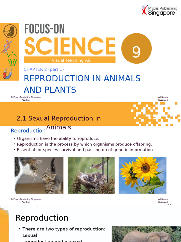 FocusON SC 9 Chapter 2 | PDF | Reproduction | Sexual Reproduction